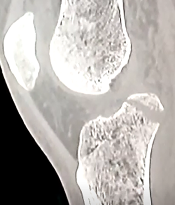 Untitled Document [revistarelart.com]